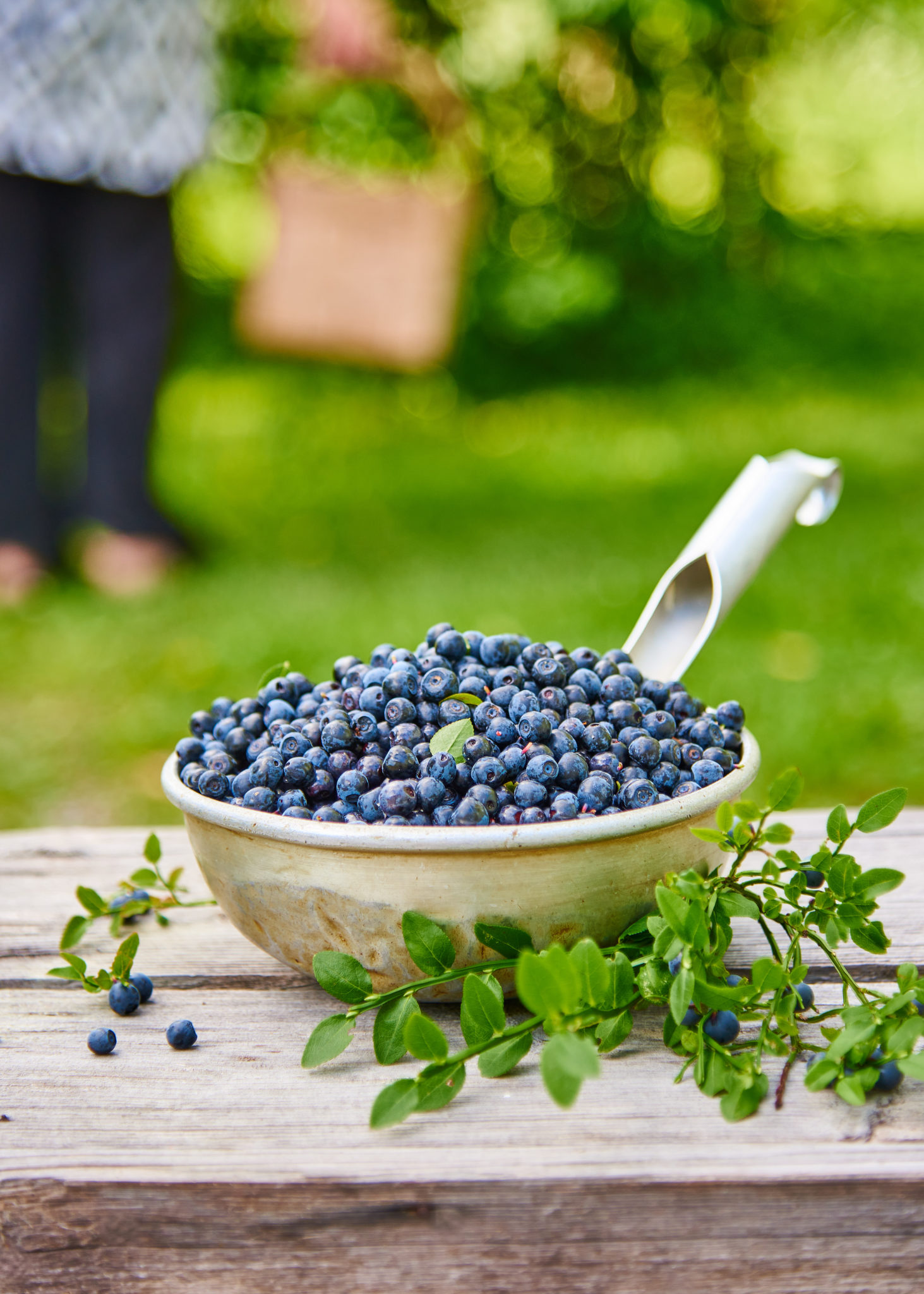 Helppo mustikkakakku – Perinneruokaa prkl | Meillä kotona