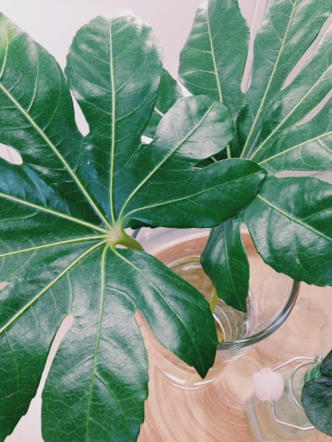 Paperia, paperia ja paperia (ja vähän vihreääkin) – Onnea nikkaroimassa ...